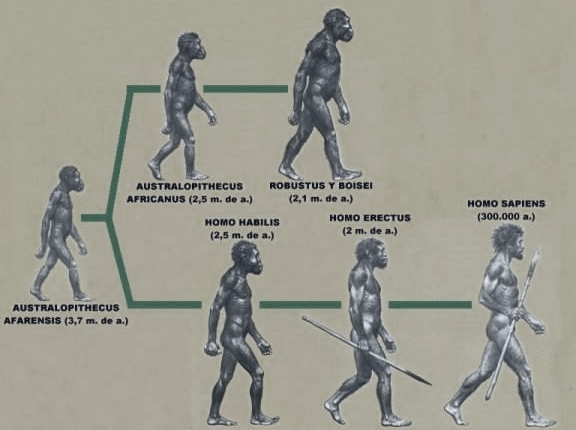 SOCIALES 6 y 7: 3 Lección: La prehistoria humana.: 3 Lección: La ...