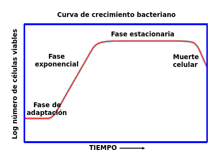 BIOLOGÍA 8 y 9: 4 Lección: Crecimiento poblacional.: 4 LECCIÓN ...