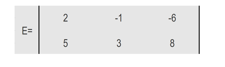 MATEMÁTICAS 8 y 9: 1 Lección: Matrices.: Matrices.