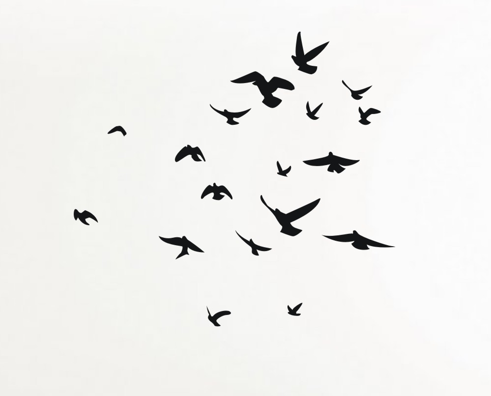 INGLES 6 y 7: 3 Lesson What is a noun?: 3 What is a noun?