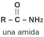 QUÍMICA 11: 3 Lección: Amidas.: 3 LECCIÓN: AMIDAS.