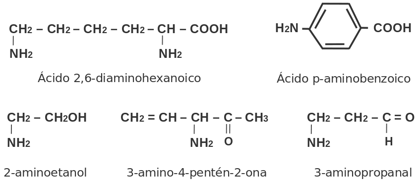 QUÍMICA 11: 4 Lección: Aminas.: 4 LECCIÓN: AMINAS.
