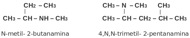QUÍMICA 11: 4 Lección: Aminas.: 4 LECCIÓN: AMINAS.