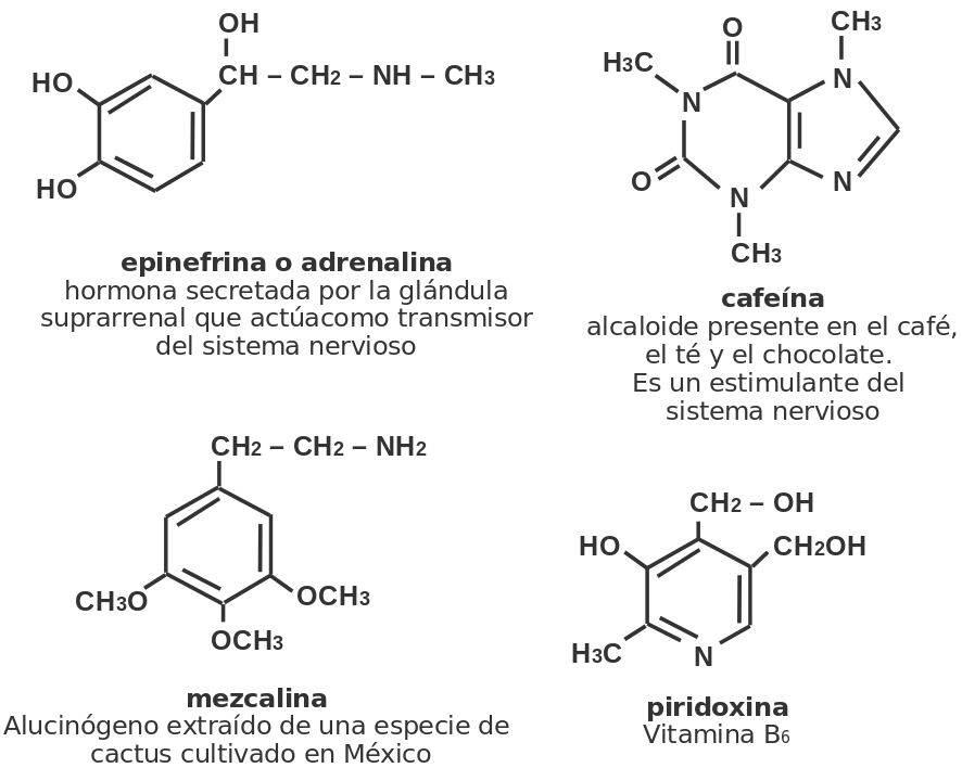 QUÍMICA 11: 4 Lección: Aminas.: 4 LECCIÓN: AMINAS.