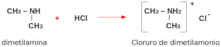 QUÍMICA 11: 4 Lección: Aminas.: 4 LECCIÓN: AMINAS.