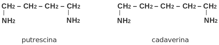 QUÍMICA 11: 4 Lección: Aminas.: 4 LECCIÓN: AMINAS.