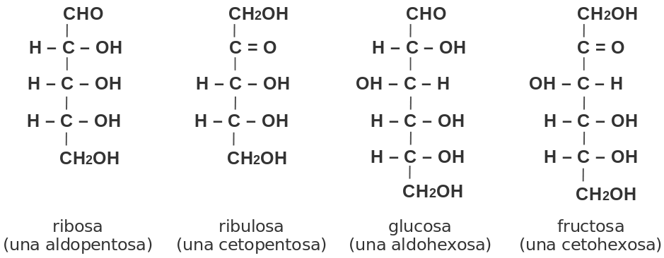 QUÍMICA 11: 1 Lección: Glúcidos.: 1 LECCIÓN: GLÚCIDOS.